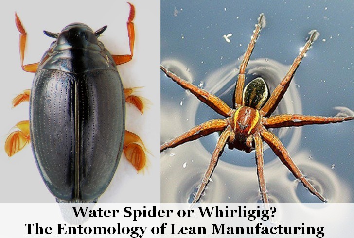 Water Spider or Whirligig? The Entomology of Lean Manufacturing